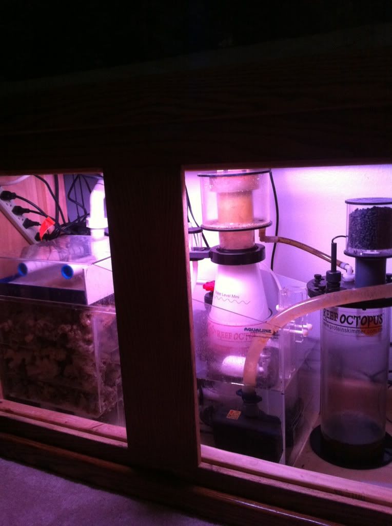 Eshopps float valve options??? | Reef2Reef